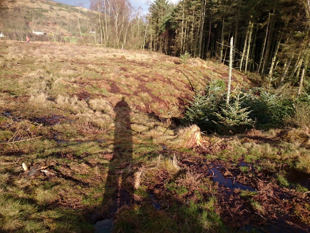 Lowland raised bog restoration | Strath Caulaidh Ltd