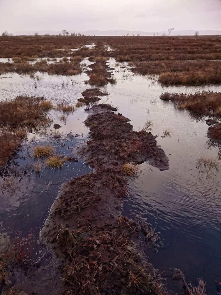 Lowland raised bog restoration | Strath Caulaidh Ltd